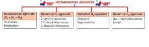 CLASSIFICATION OF HISTAMINERGIC AGONISTS