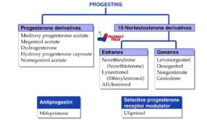 Classification of Progestins