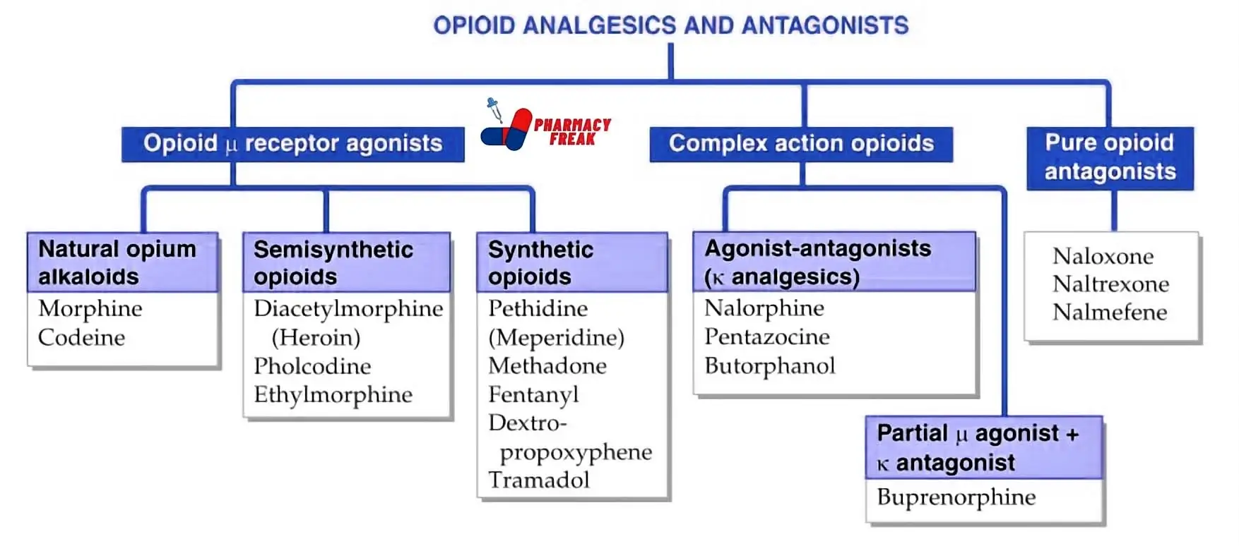 Drug Classification Pharmacy Freak Drug Classification Pharmacy Freak