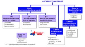 Classification of Antiarrhythmic Drugs