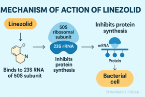 Mechanism of Action of Linezolid