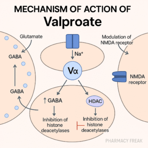 Mechanism of Action of Valproate