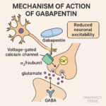 Mechanism of Action of Gabapentin