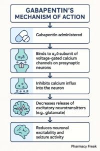 Mechanism of Action of Gabapentin