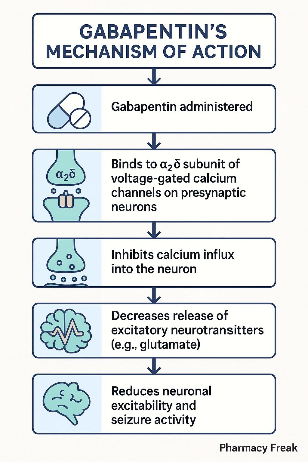 Mechanism of Action of Gabapentin