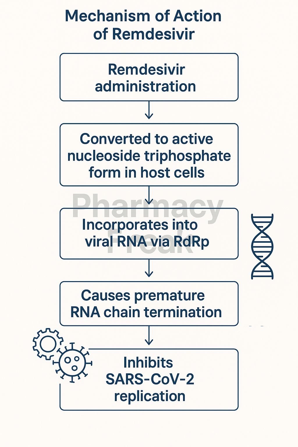 Mechanism of Action of Remdesivir