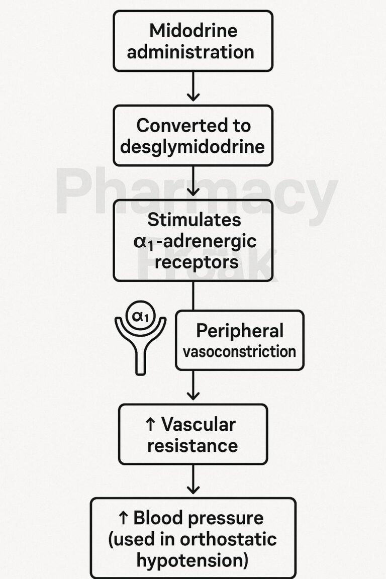 Mechanism of Action of Midodrine