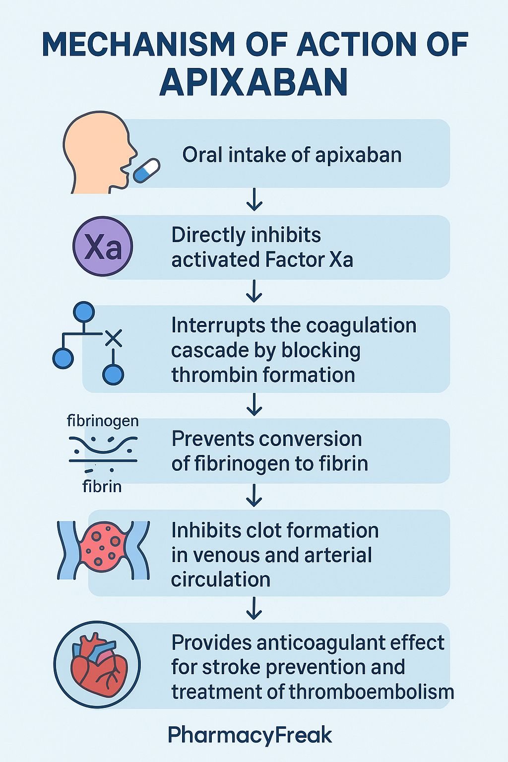 Mechanism of Action of Apixaban