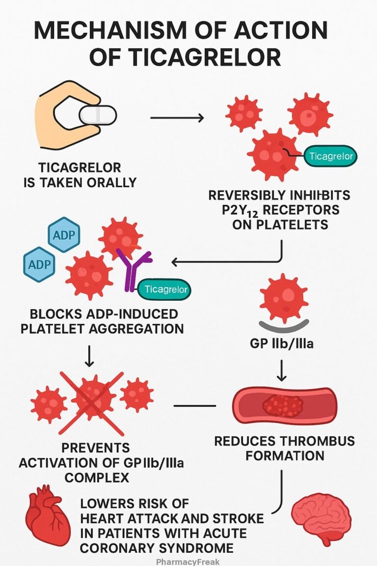 Mechanism of Action of Ticagrelor