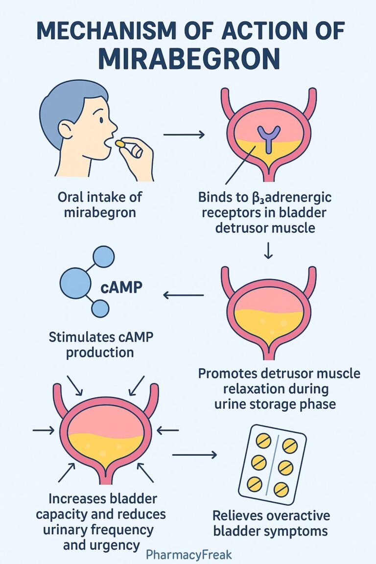 Mechanism of Action of Mirabegron