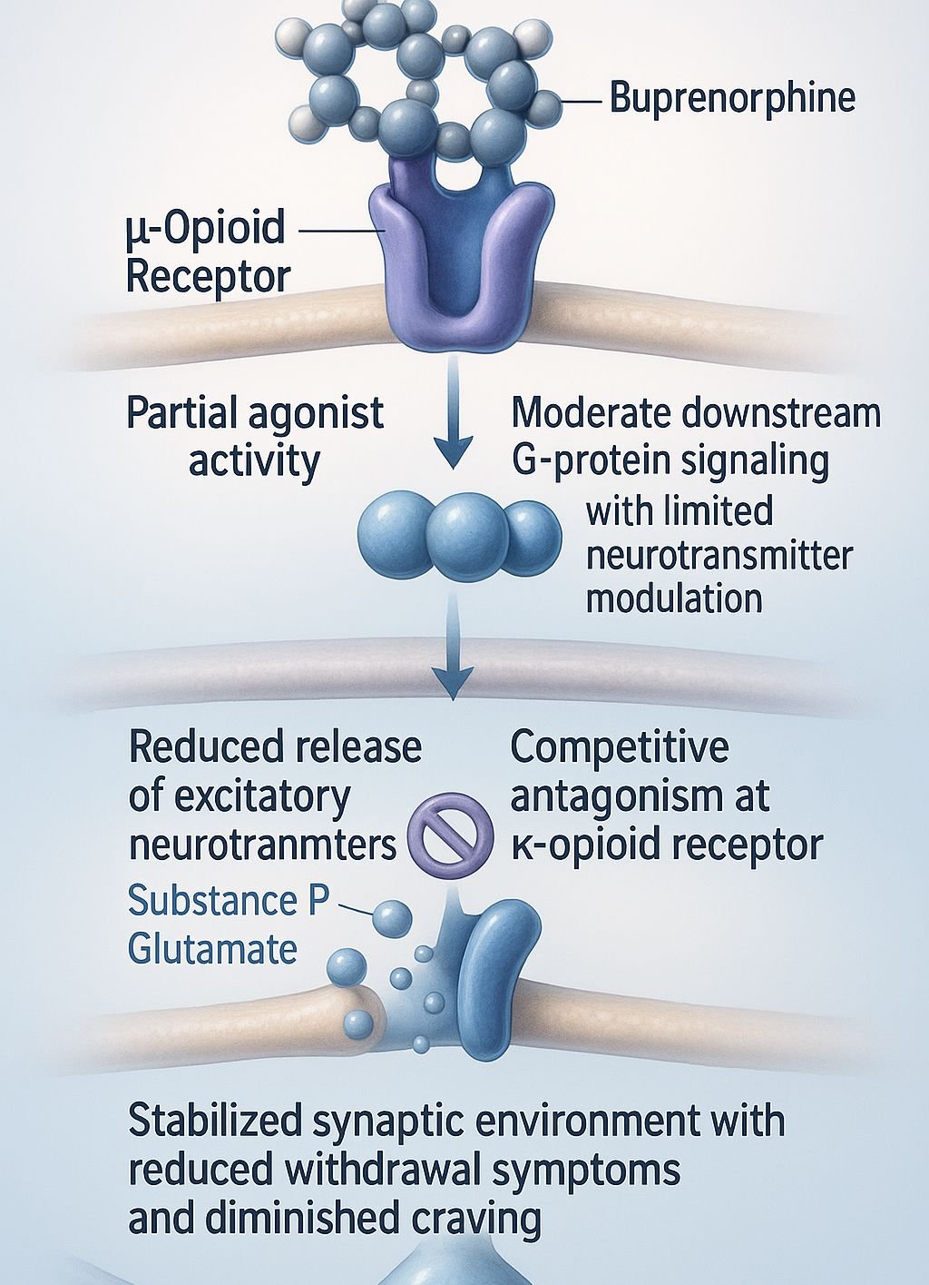 Mechanism of Action of Buprenorphine