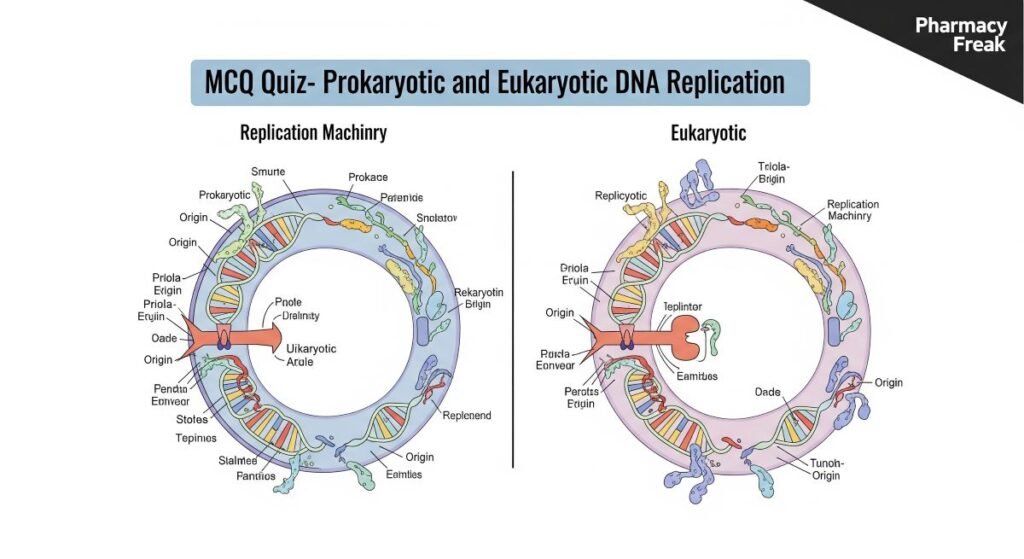 MCQ Quiz: Prokaryotic and Eukaryotic DNA Replication