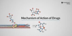 Mechanism of Action of Drugs - Pharmacy Freak