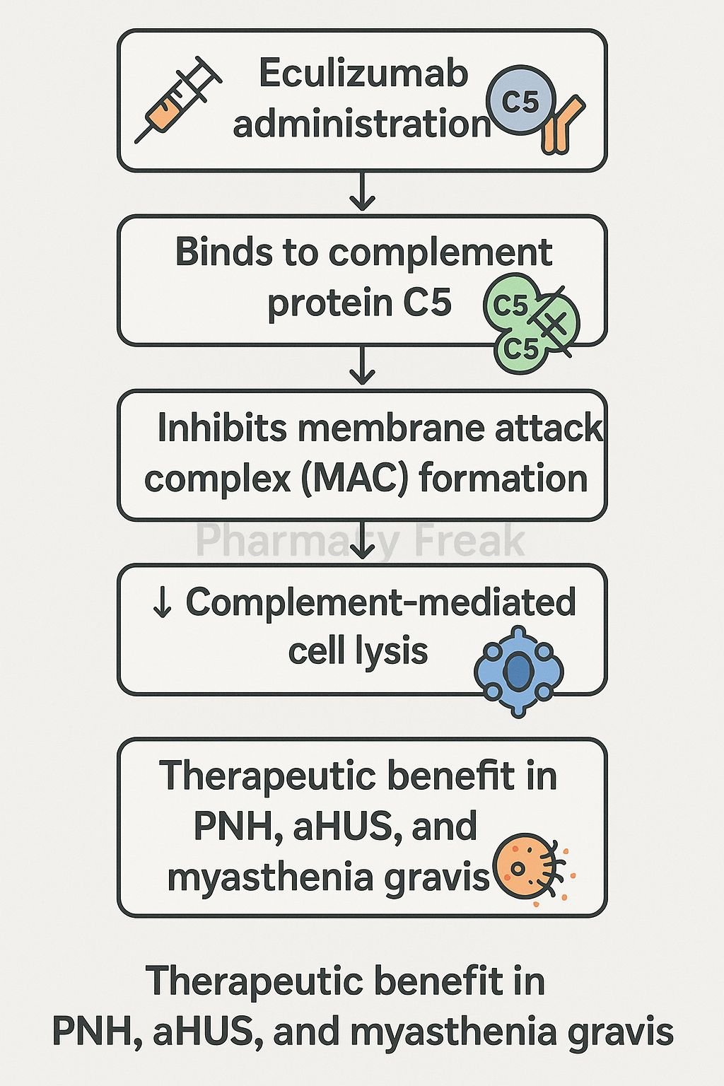 Mechanism of Action of Eculizumab