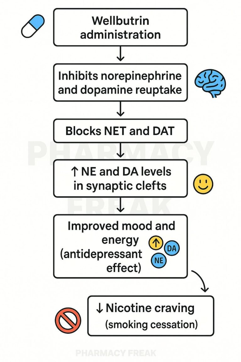 Mechanism of Action of Wellbutrin