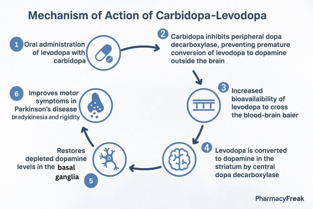 Mechanism of Action of Carbidopa–Levodopa