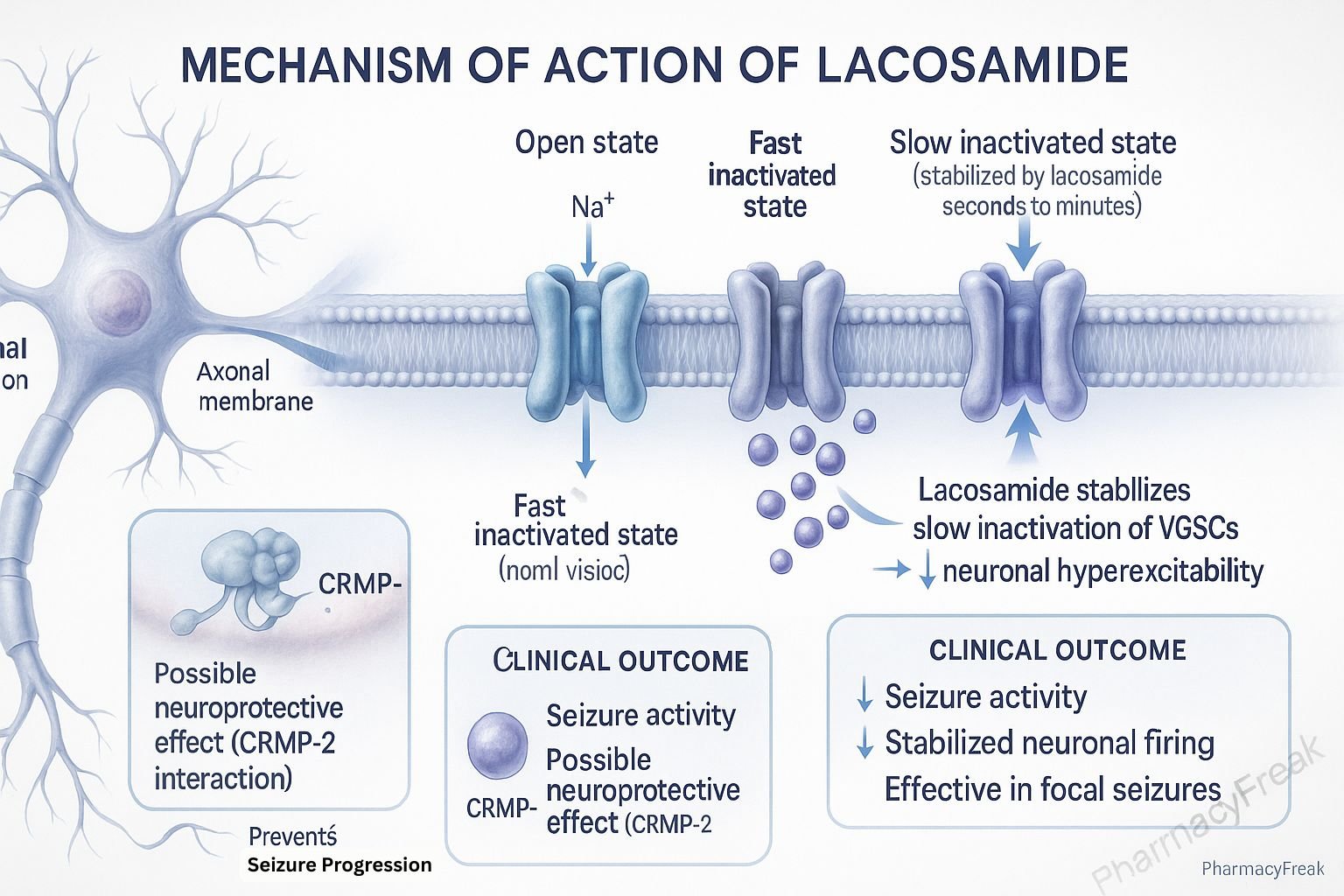 Mechanism of Action of Lacosamide