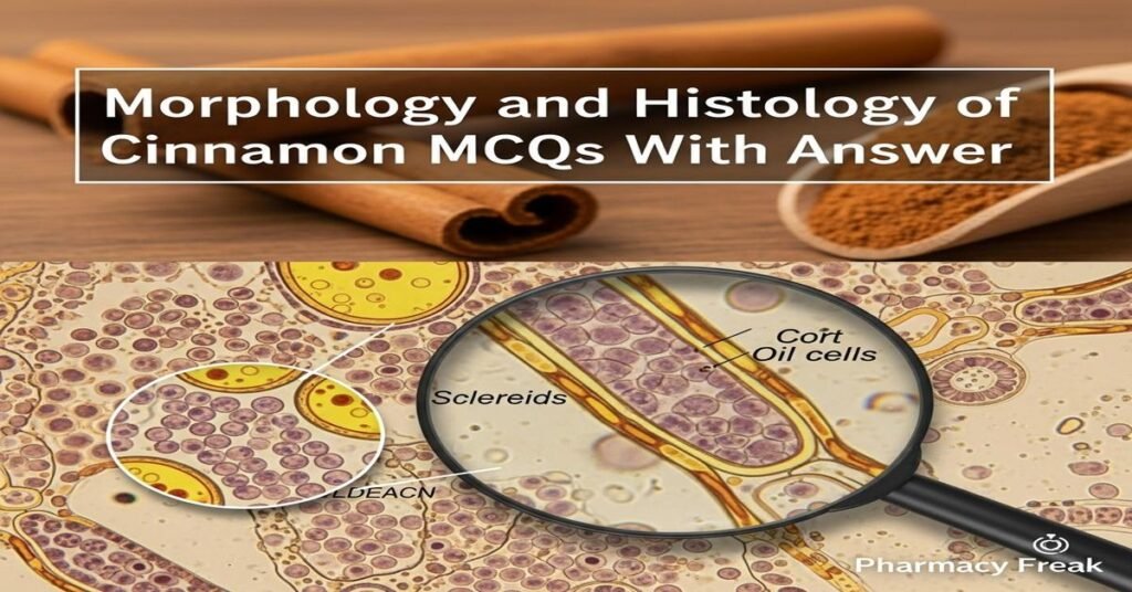 Morphology and histology of Cinnamon MCQs With Answer