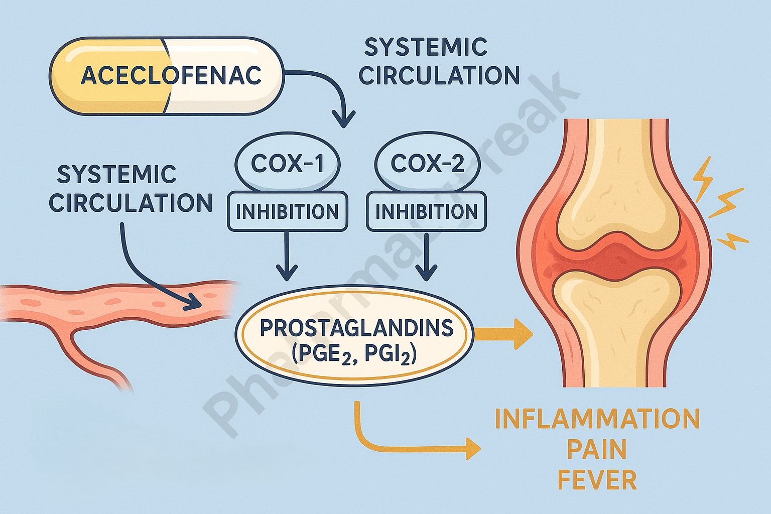 Mechanism of Action of Aceclofenac