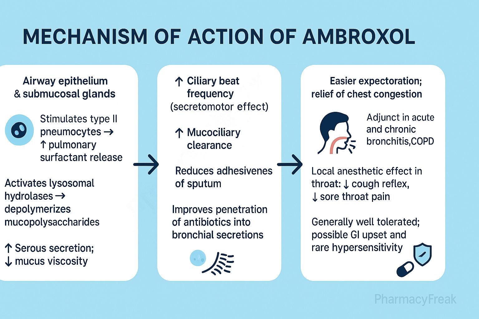 Mechanism of Action of Ambroxol