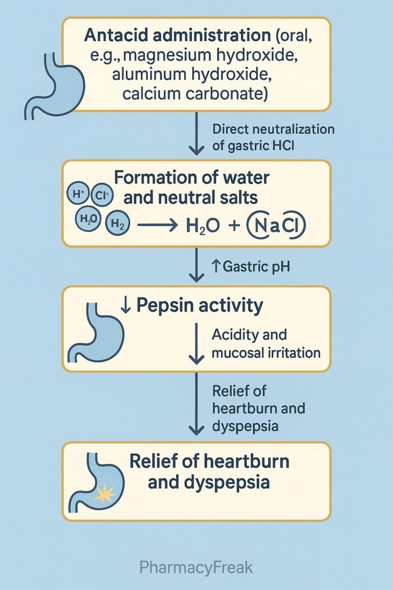 Mechanism of Action of Antacids