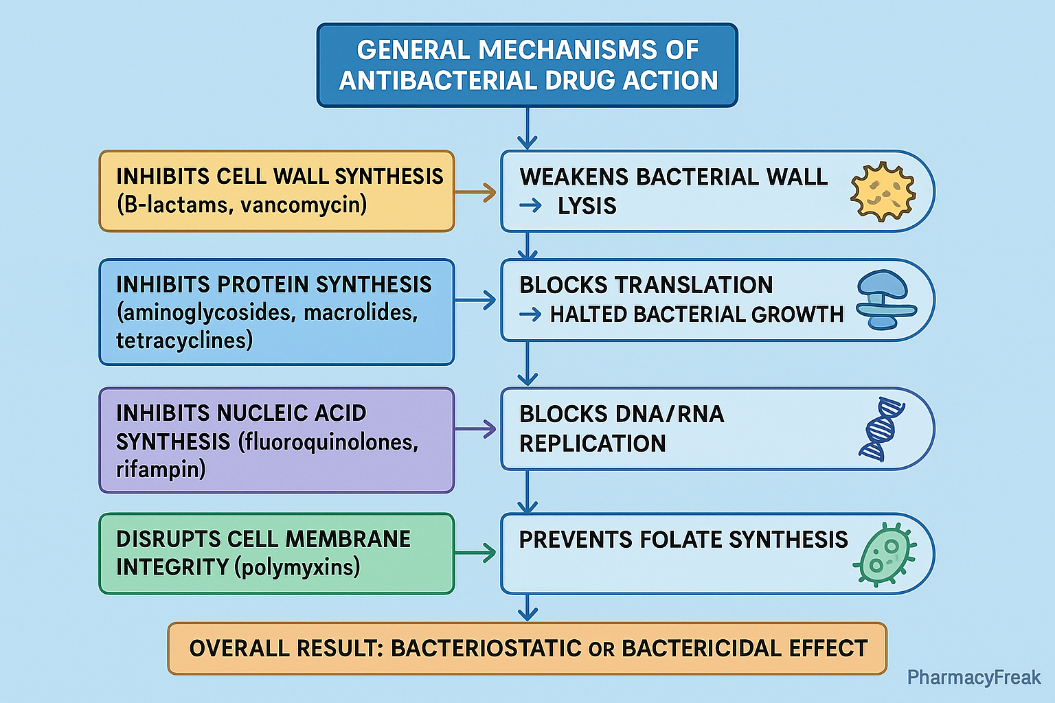 Mechanism of Action of Antibiotics