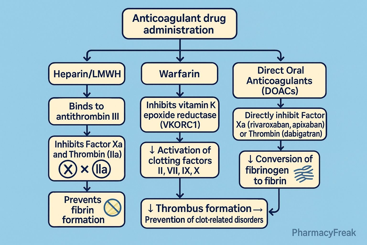 Mechanism of Action of Anticoagulant Drugs