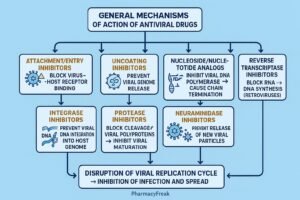 Mechanism of Action of Antiviral Drugs