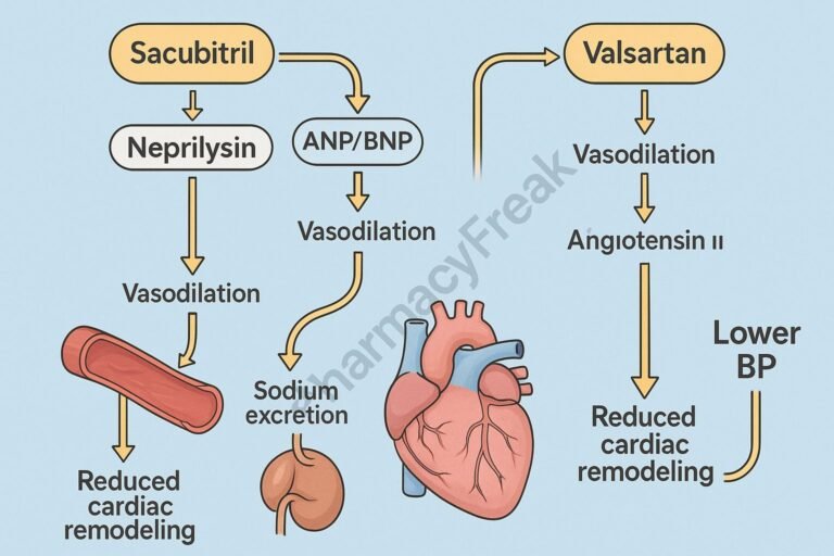 Mechanism of Action of ARNI