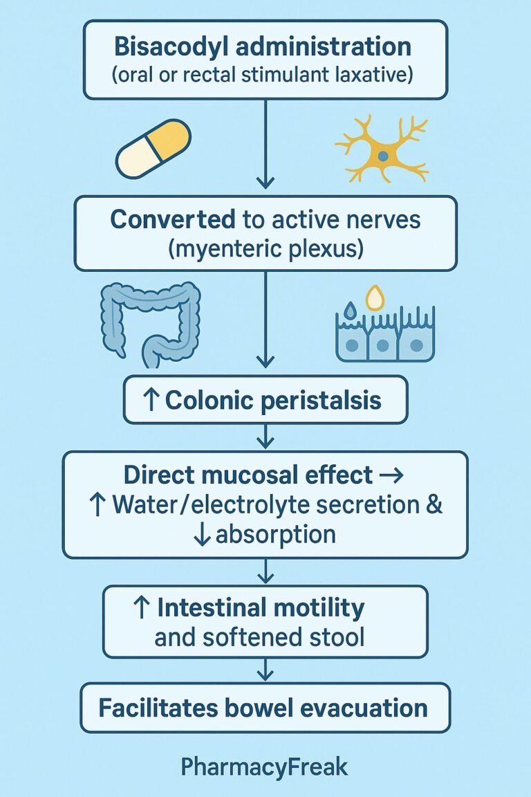 Mechanism of Action of Bisacodyl