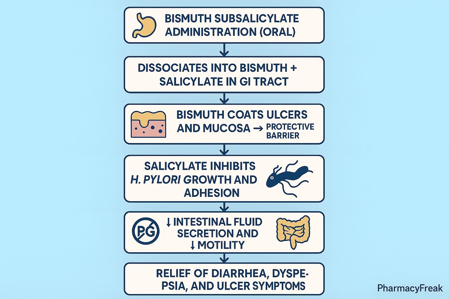 Mechanism of Action of Bismuth Subsalicylate