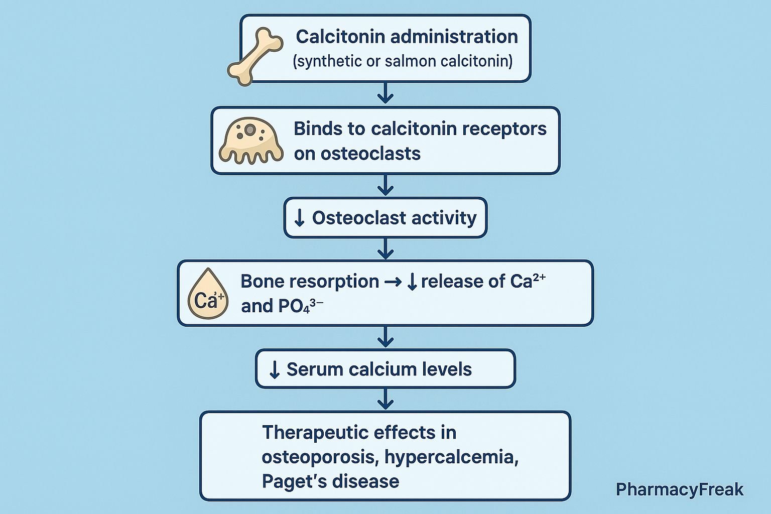 Mechanism of Action of Calcitonin