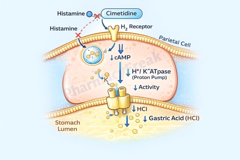 Mechanism of Action of Cimetidine