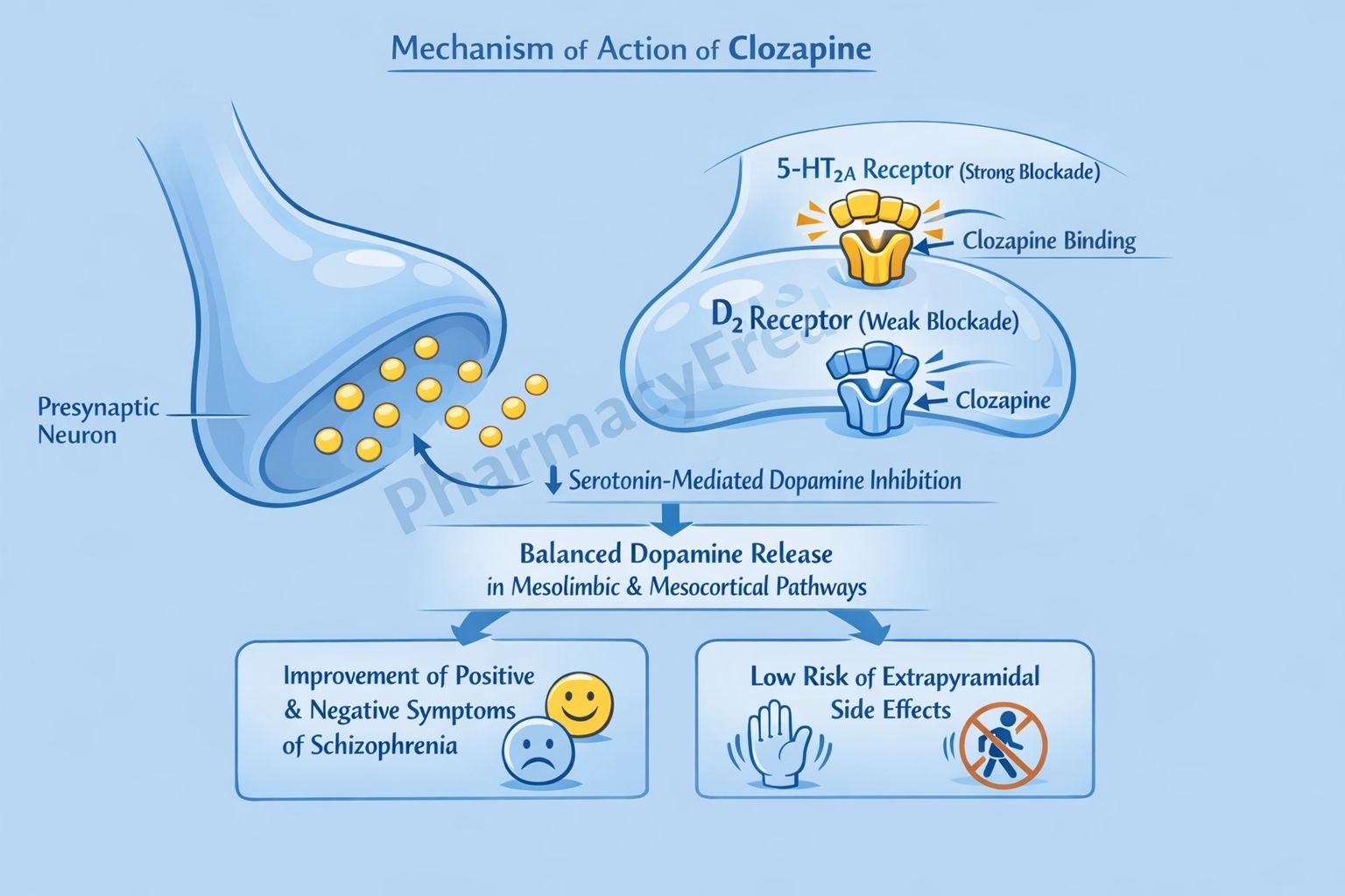 Mechanism of Action of Clozapine