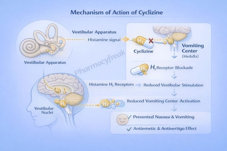 Mechanism of Action of Cyclizine