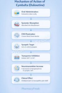 Mechanism of Action of Cymbalta