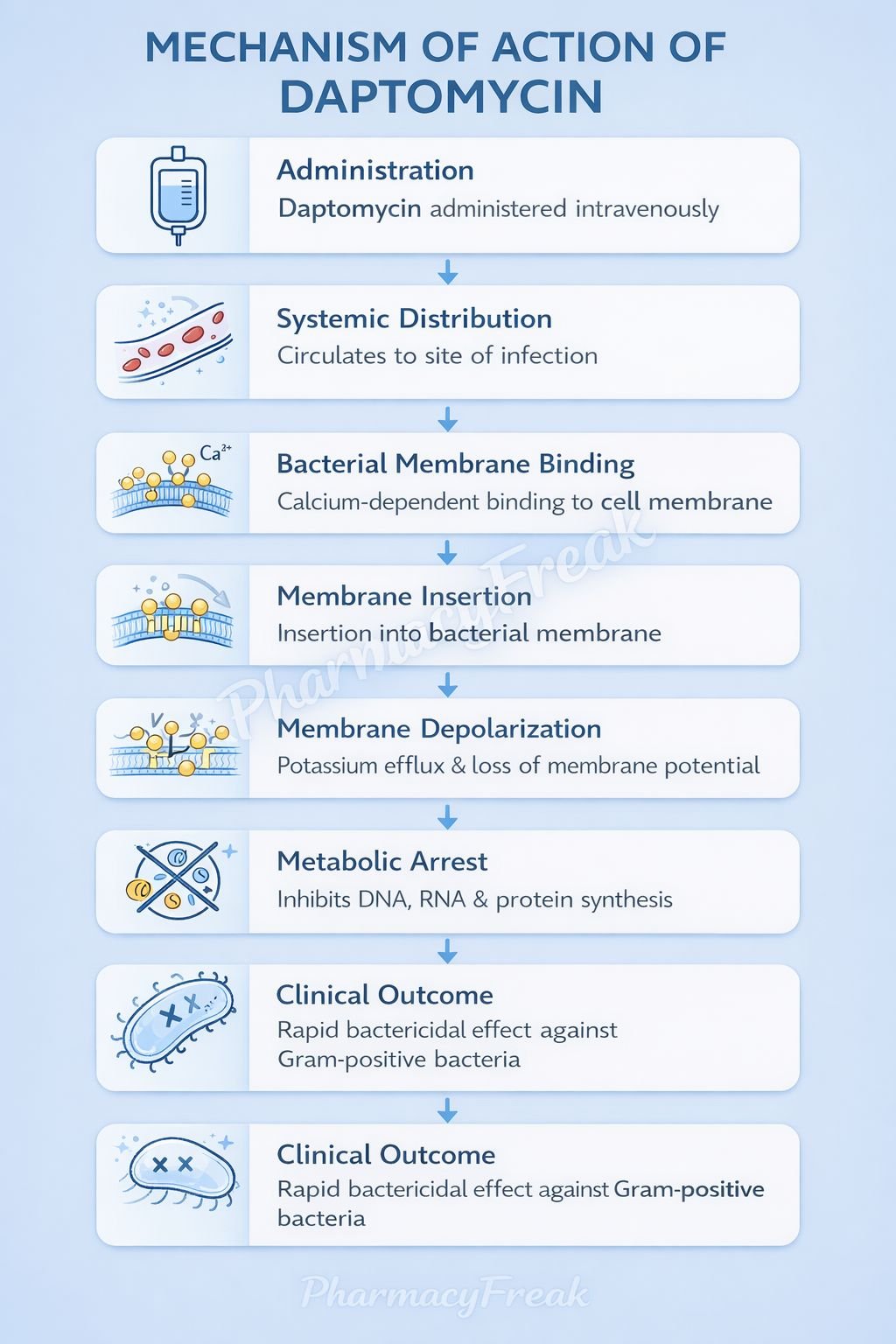 Mechanism of Action of Daptomycin