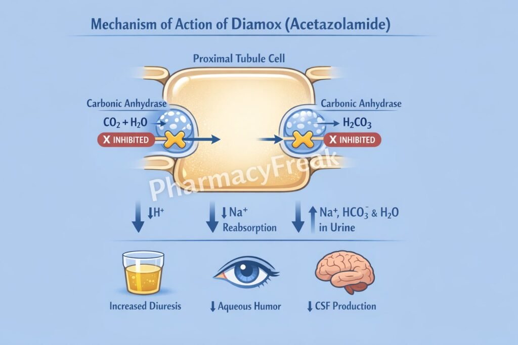 Mechanism of Action of Diamox
