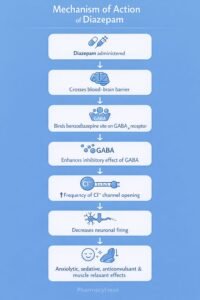 Mechanism of Action of Diazepam