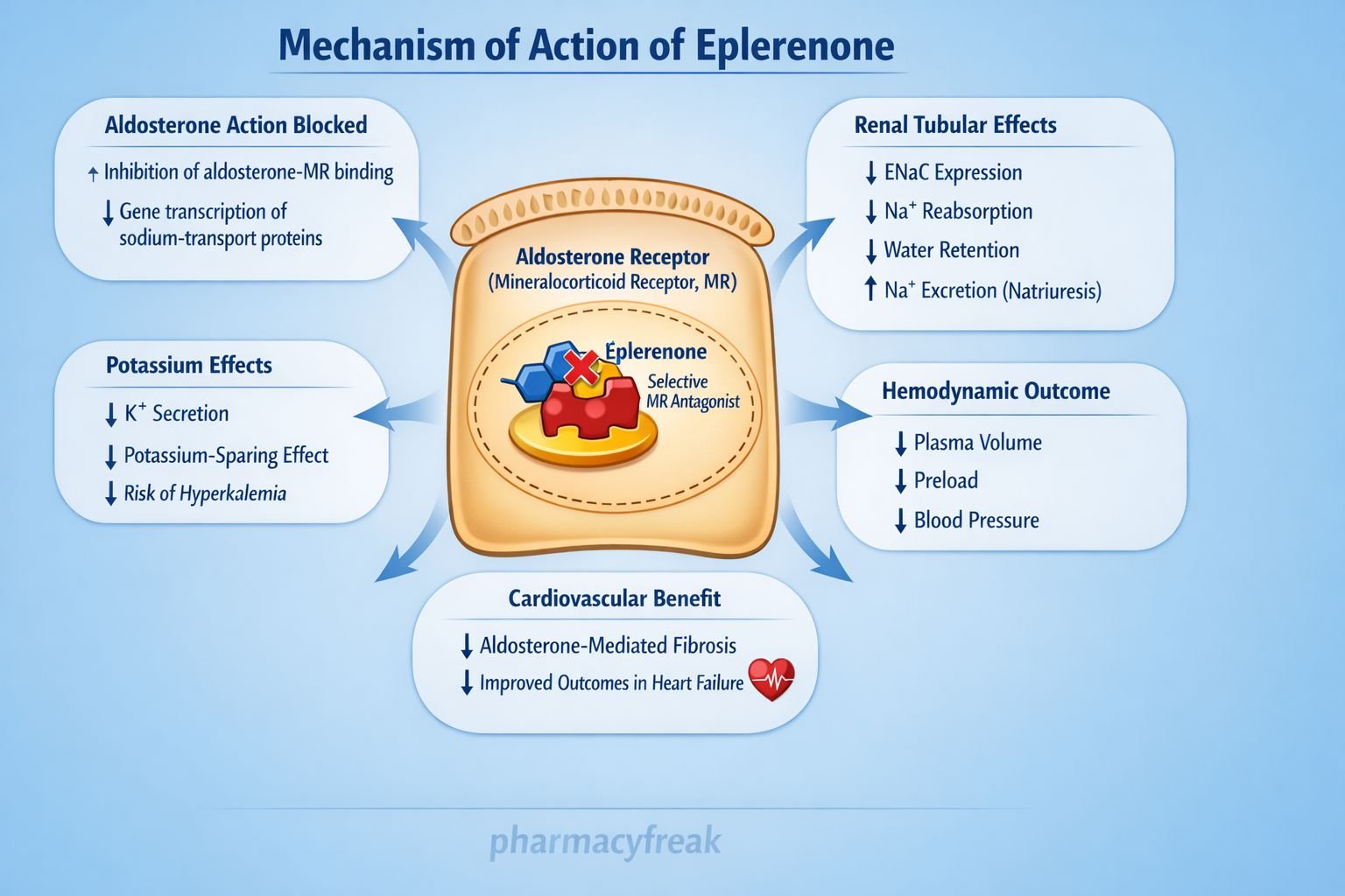 Mechanism of Action of Eplerenone