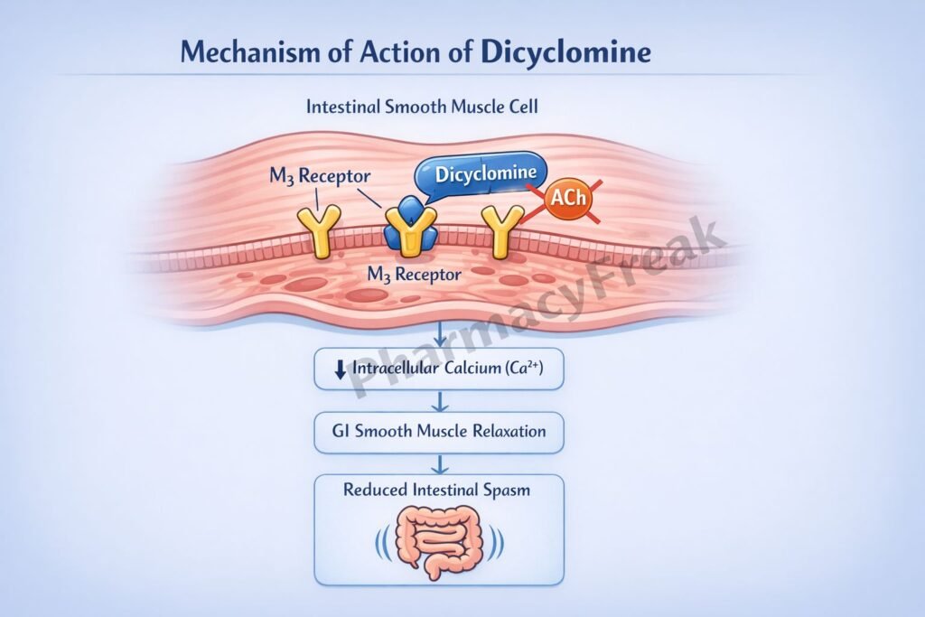 Mechanism of Action of Dicyclomine