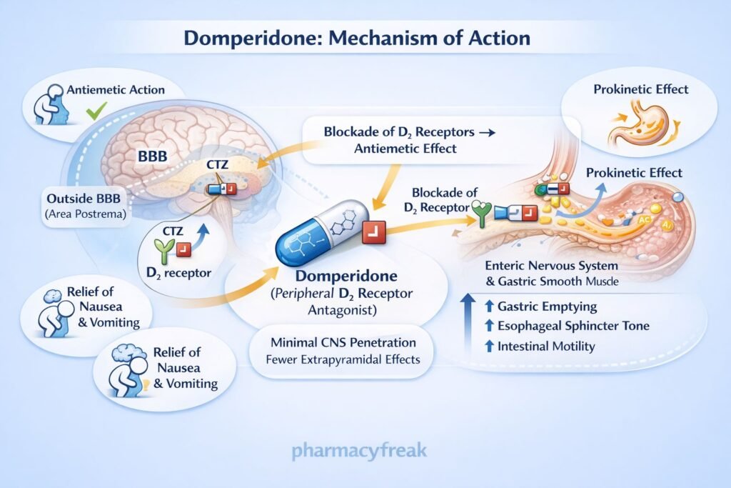 Mechanism of Action of Domperidone