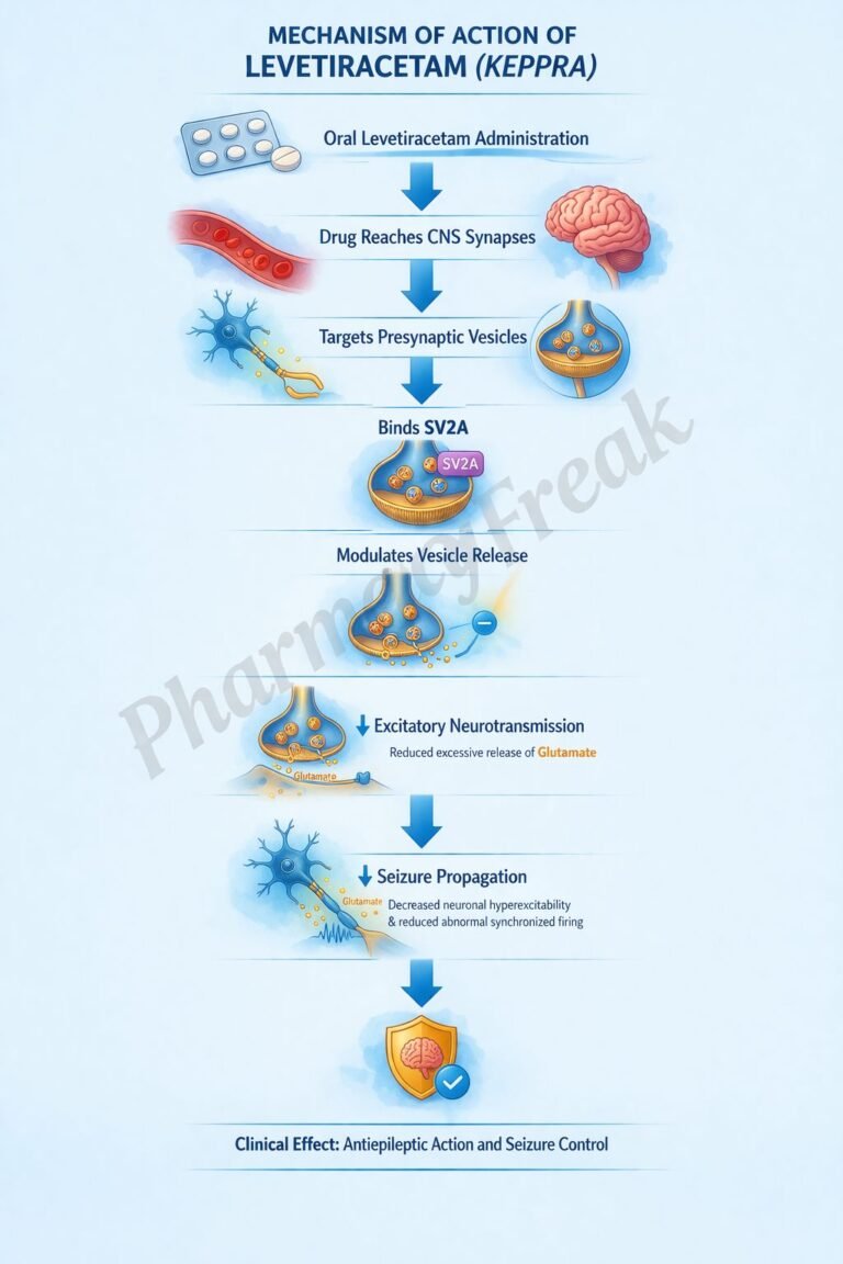 Mechanism of Action of Levetiracetam (Keppra)