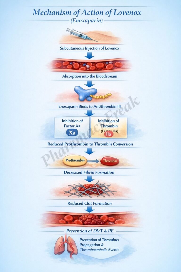 Mechanism of Action of Lovenox